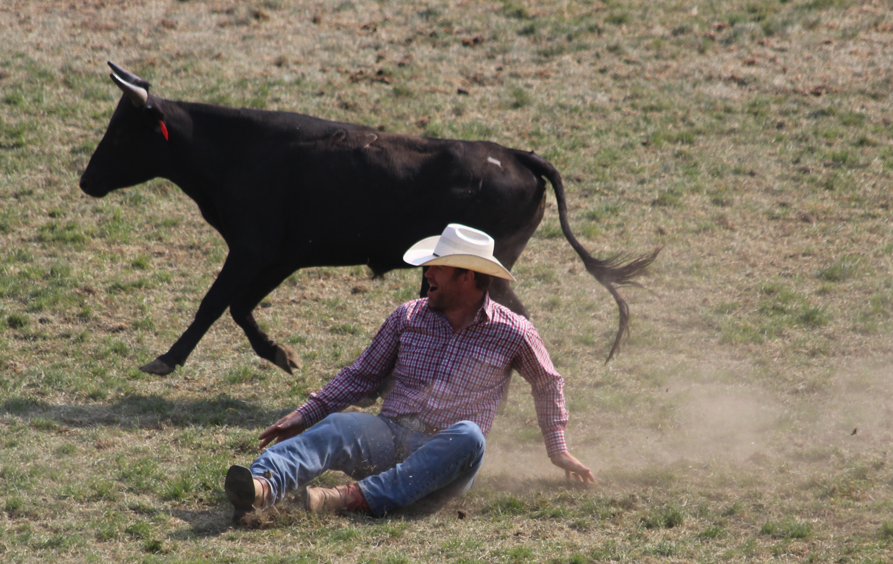 a-bulldogger – Shanna Hatfield