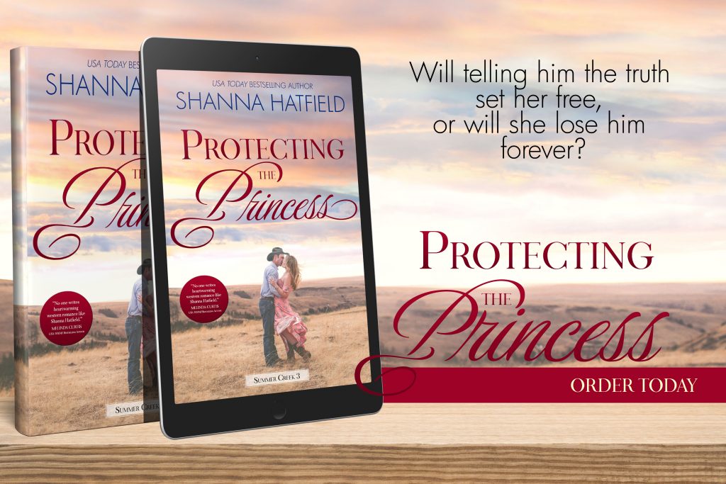 Protecting the Princess First Look – Shanna Hatfield