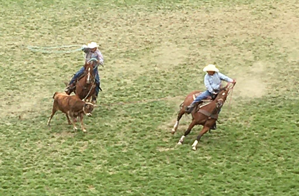 Pendleton Round-Up 2021 – Shanna Hatfield